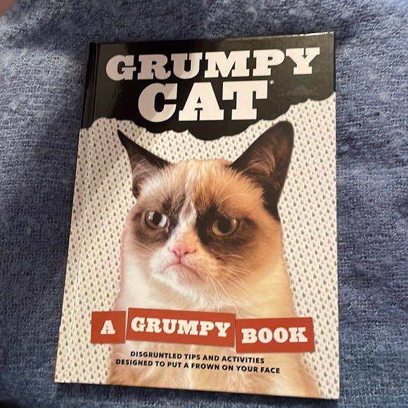 grumpy cat | Cat | Grumpy Cat A Grumpy Book | Poshmark